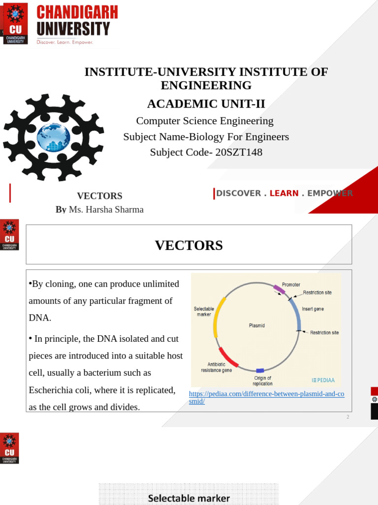 6 Biology Vectors | PDF | Plasmid | Vector (Molecular Biology)