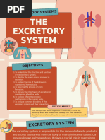 Module Excretory System | PDF | Human Body | Excretion