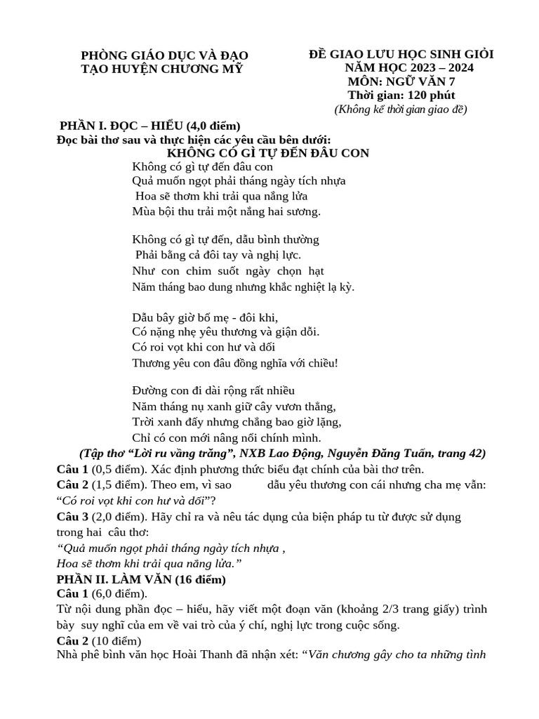 BT- ĐỀ HSG MÔN NGỮ VĂN 7 | PDF