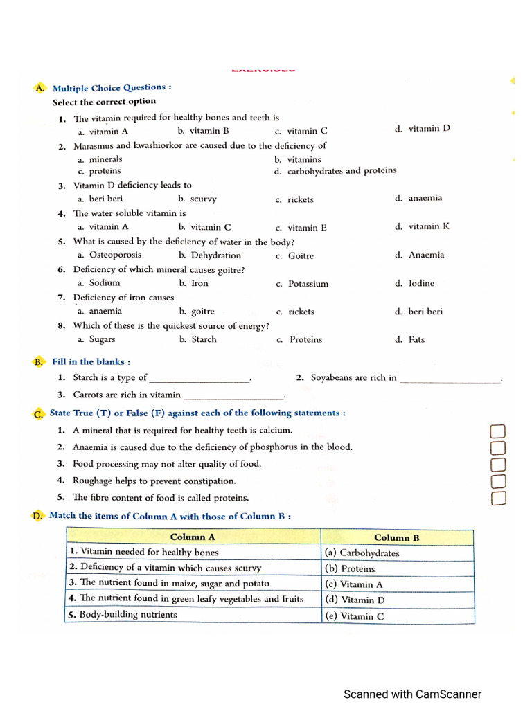 VI Science Chapter-2 Worksheet | PDF