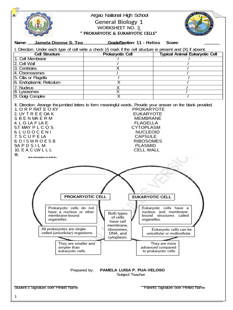 GB1 - Homework_ Prokaryotic and Eukaryotic Cells | PDF | Cell (Biology ...