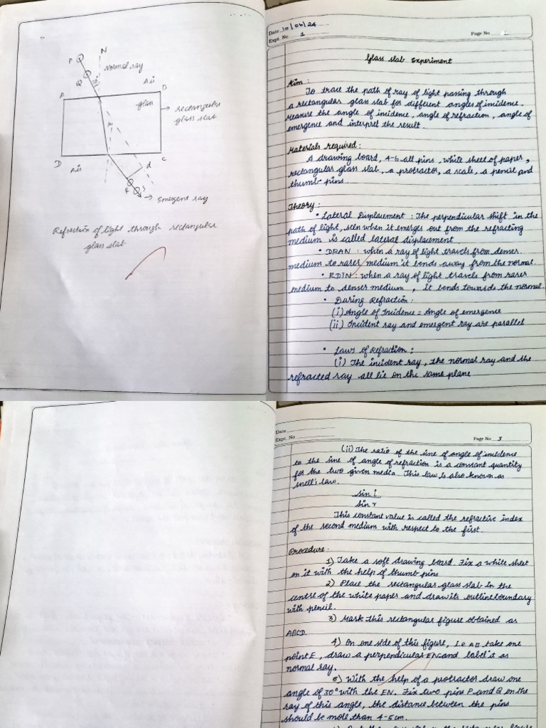STD X - Science Record PDF - 250207 - 124125 | PDF