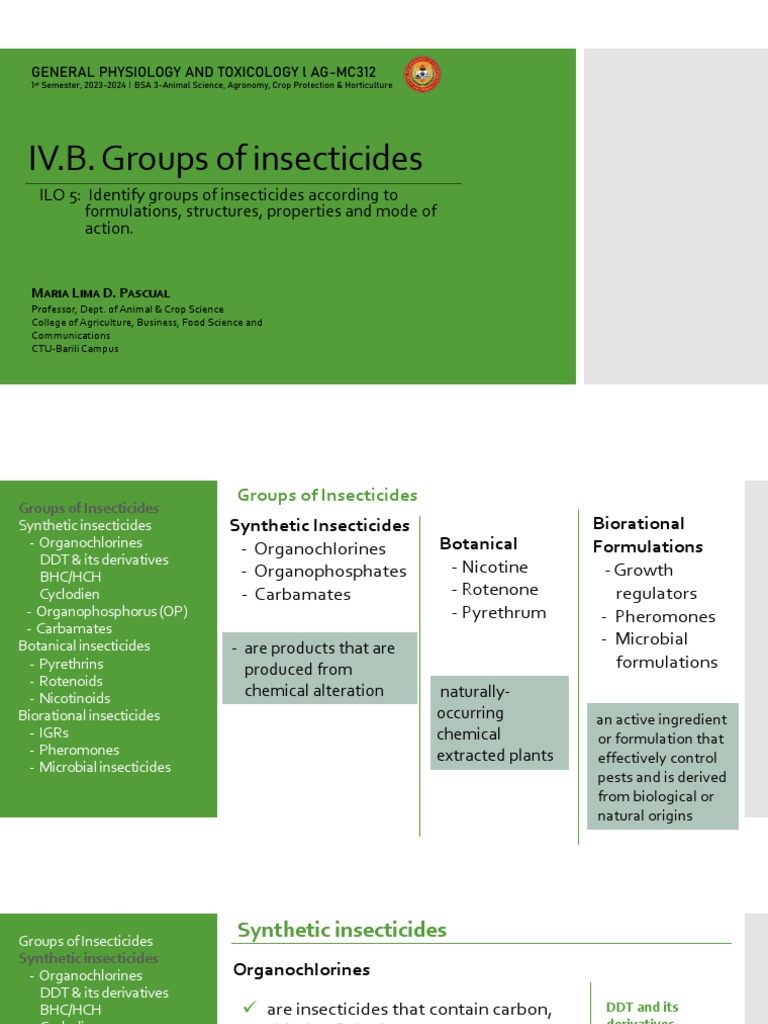 IV.B. Groups of Insecticides 2024 | PDF | Insecticide | Ddt