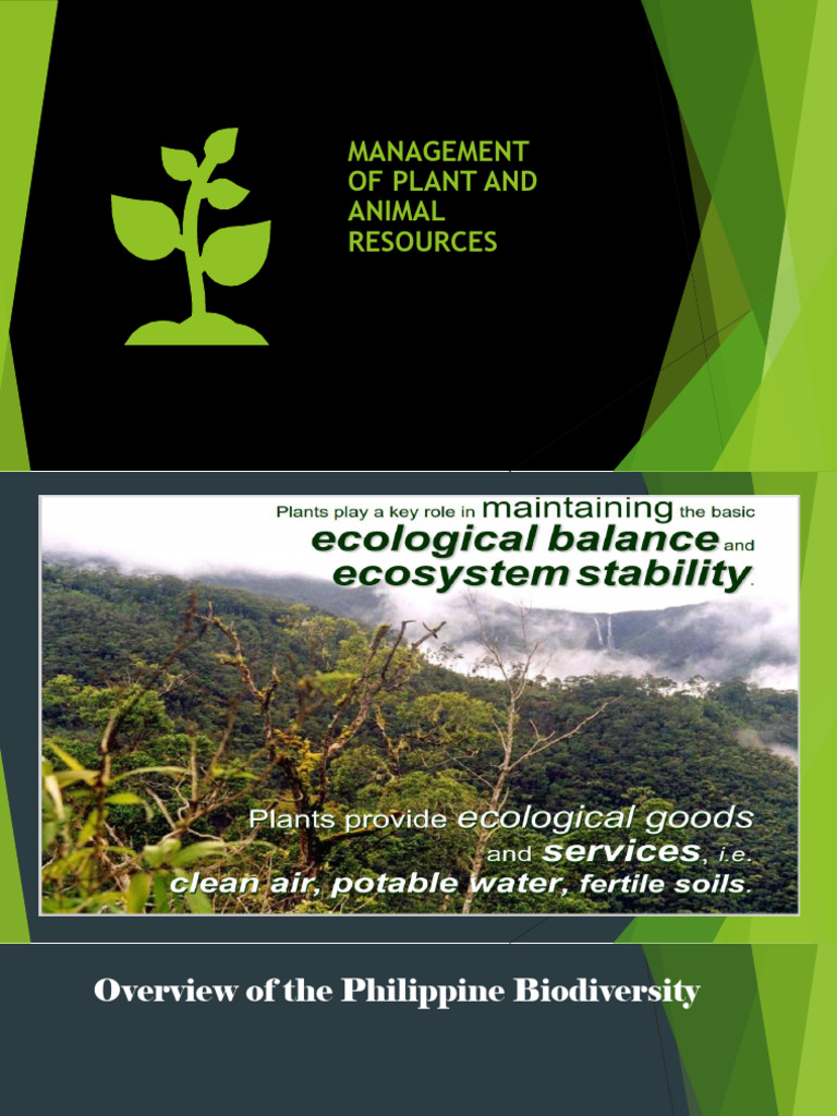 Biodiversity and Resource Management in the Philippines | PDF ...