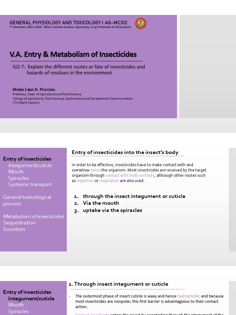 V.a. Entry and Metabolism of Insecticides 2024 | PDF | Insecticide ...