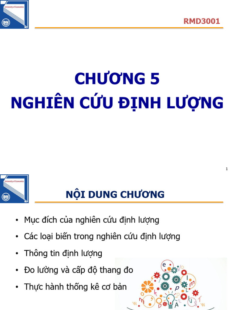 RMD3001 - Chapter 5 - Nghien Cuu Dinh Luong | PDF