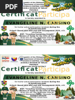 BSP Certificate | PDF | Scouting | Philippines