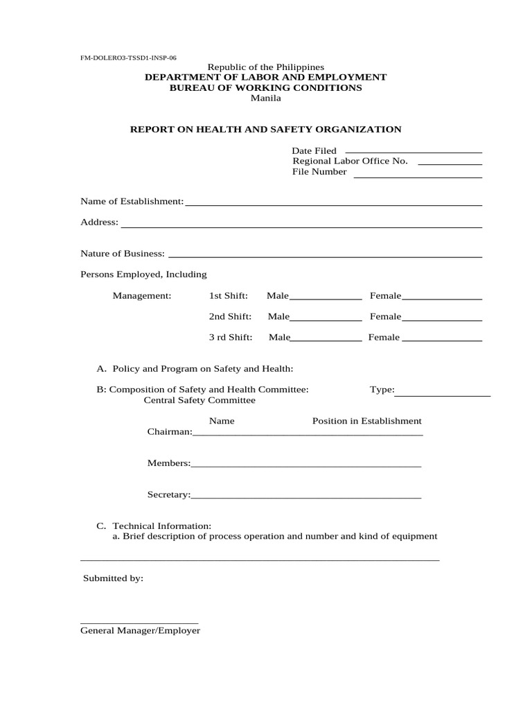 Health and Safety Organization Report | PDF