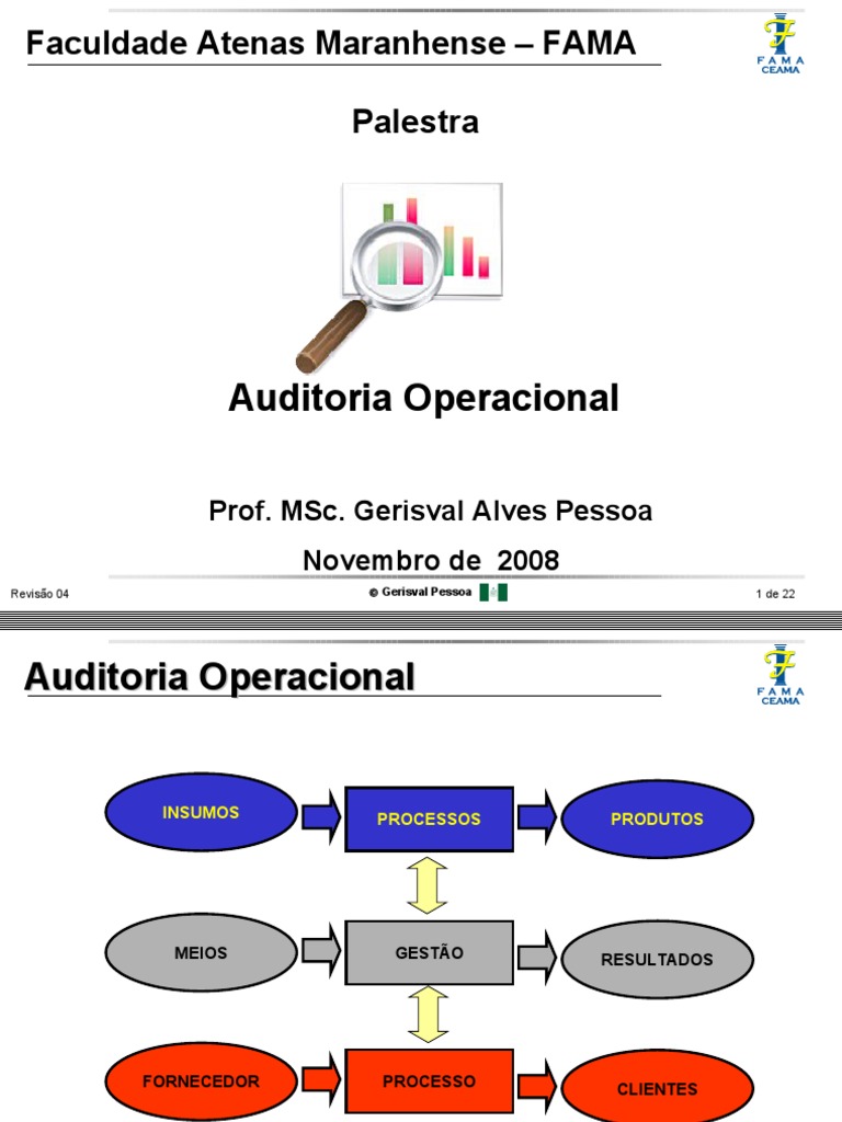 Auditoria Operacional | PDF | Qualidade (negócios) | Economia