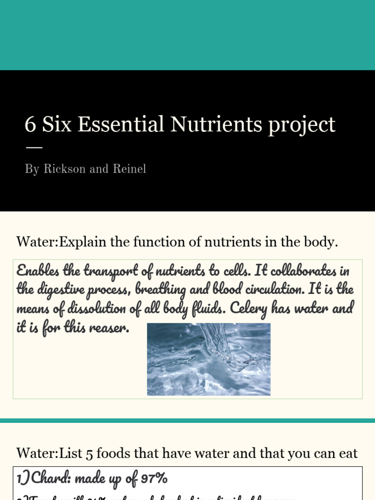 6 Six Essential Nutrients Project | PDF | Carbohydrates | Fat