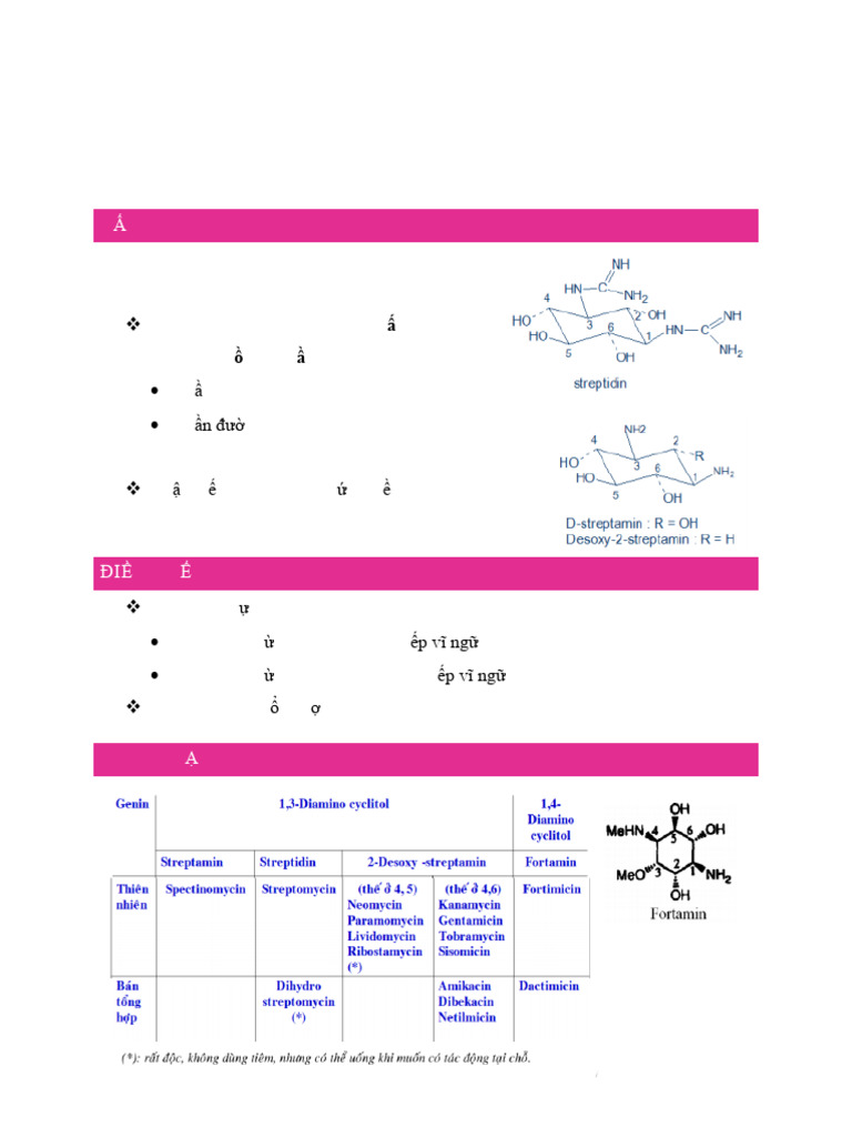 Kháng Sinh Aminosid | PDF