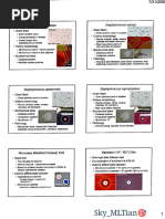 Atcc Strains | PDF | Beta Lactamase | Staphylococcus