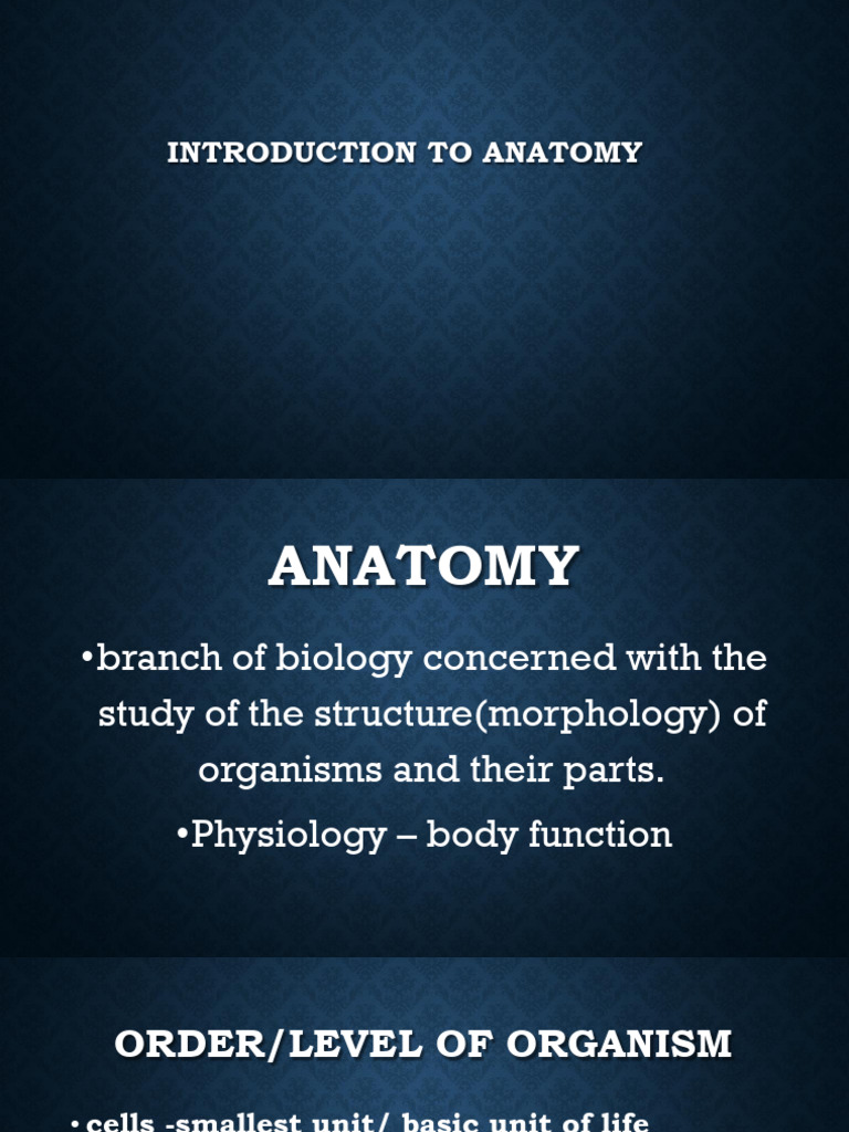 Surface Anatomy Overview | PDF