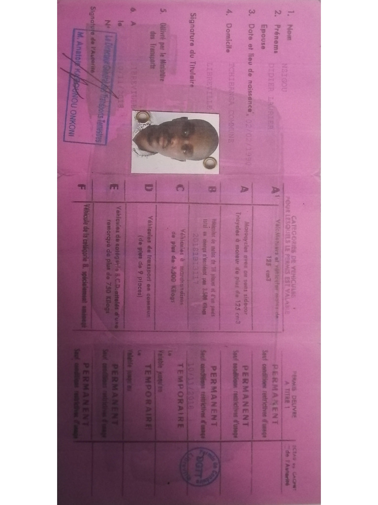 Permis de Conduire NDL | PDF