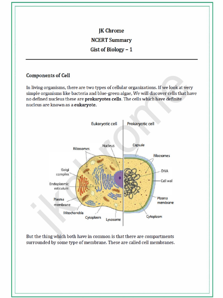 Biology Gist | PDF | Blood Type | Artery