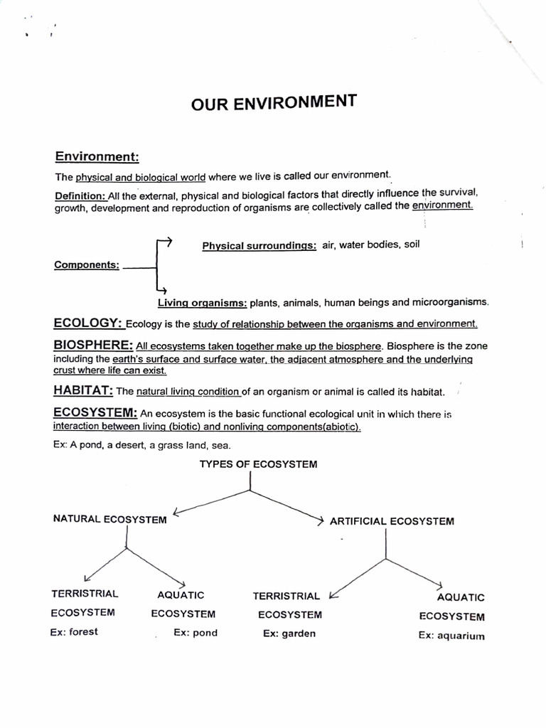 Our Environment Grade 10 Bio Notes | PDF | Food Web | Chlorofluorocarbon