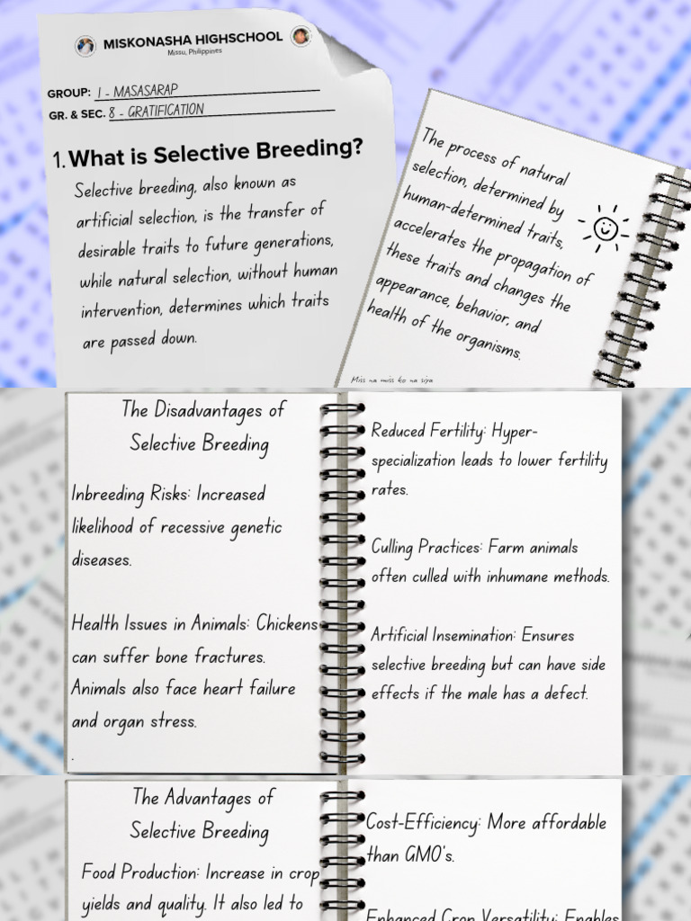 BIOTECH - Selective Breeding | PDF | Selective Breeding | Agriculture