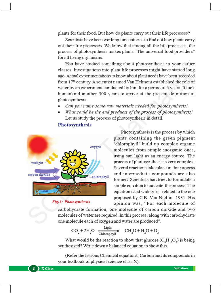 10 biology em 2021_0014-0014 | PDF | Photosynthesis | Plants