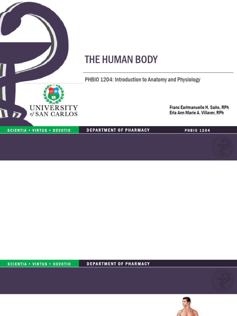 1 - Introduction - Levels of Organization of The Human Body (Cellular ...