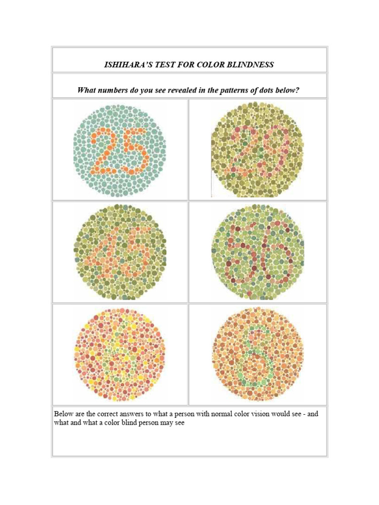Contoh Ujian Buta Warna 1 | PDF