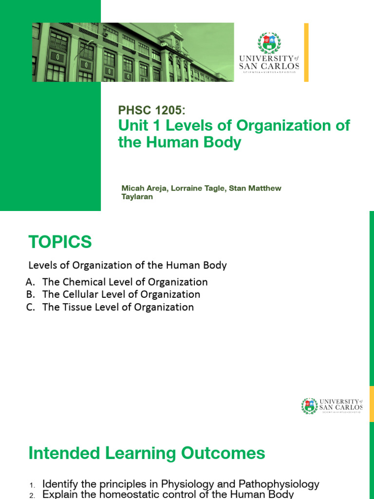 PHSC 1205 Unit 1 Levels of Organization of The Human Body | PDF