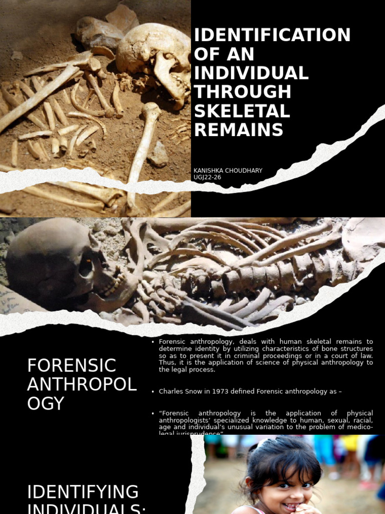 Forensic Anthropology | PDF | Decomposition | Tooth