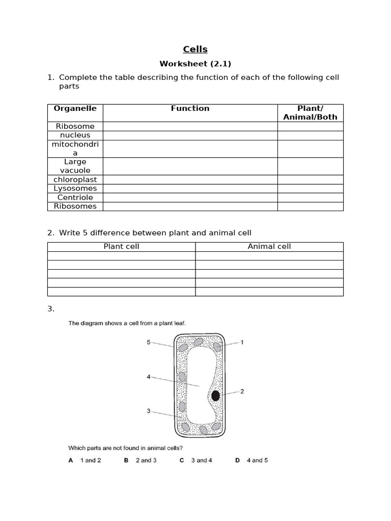 Cells Worksheet QP | PDF