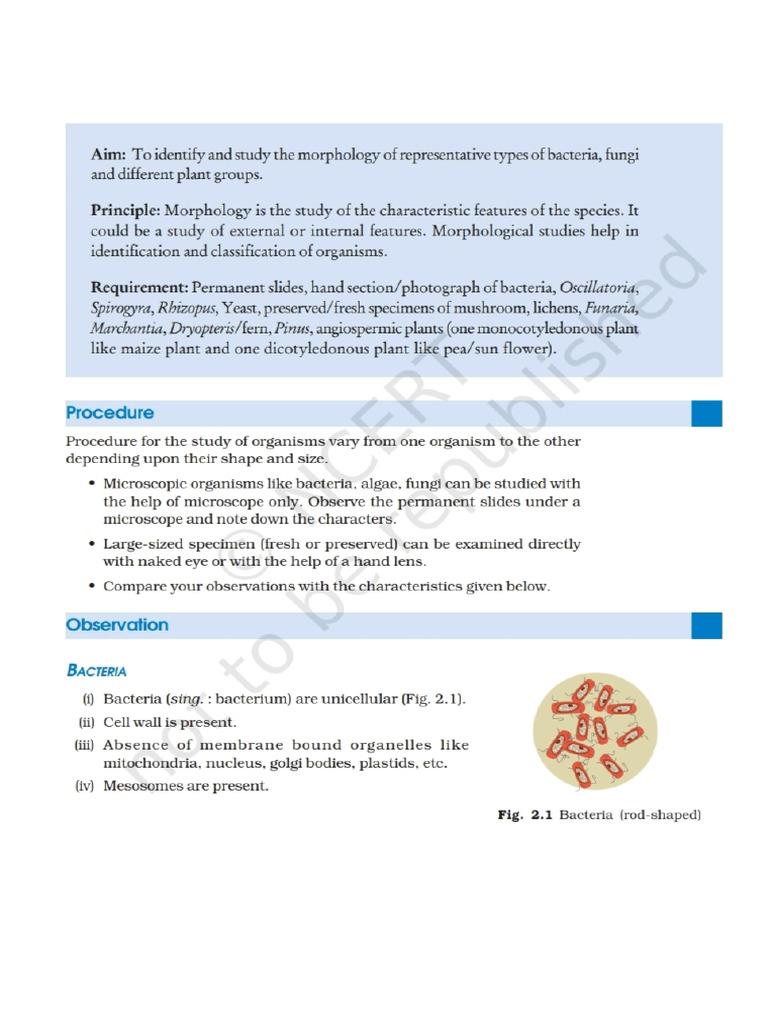 XI Biology Practical (Lab Note Book) | PDF