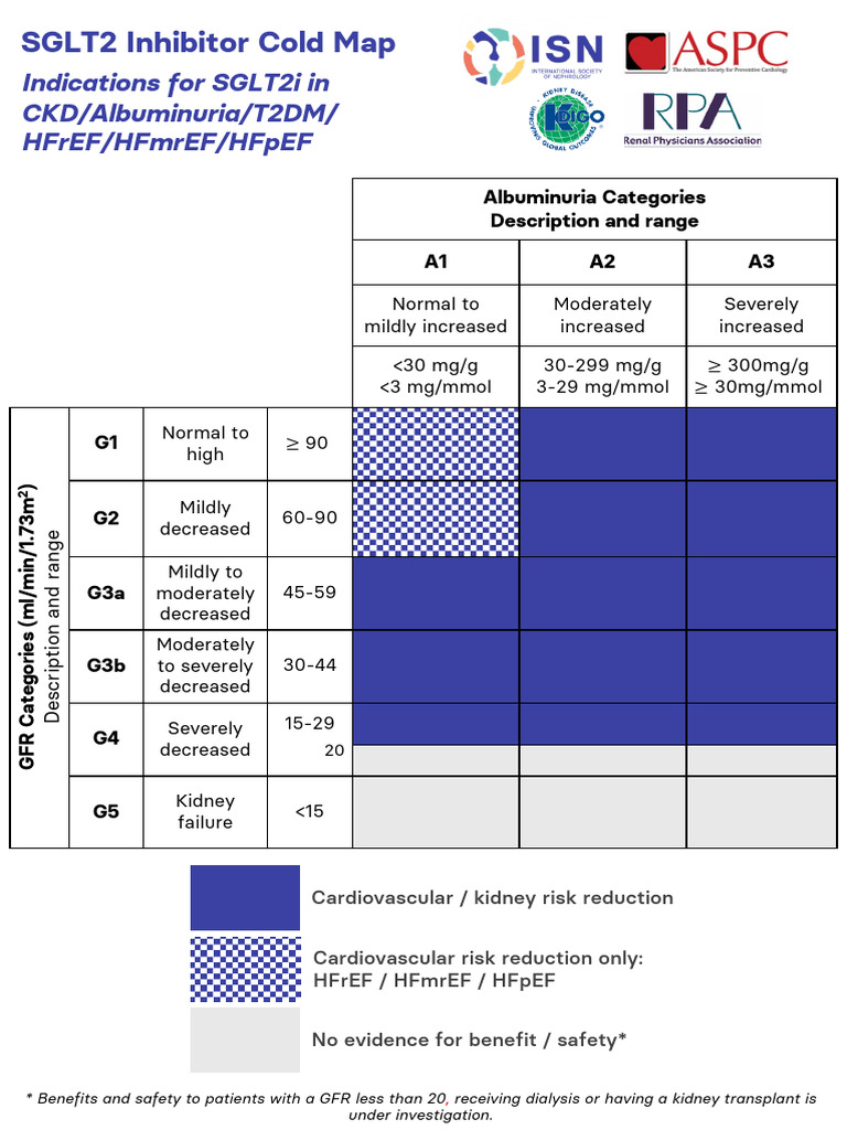 SGLT2 Inhibitor Guidelines for CKD and HF | PDF | Chronic Kidney ...