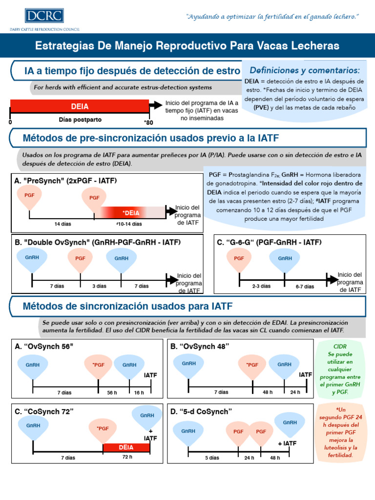 Dairy Cows Protocol Sheet Translation in Spanish 2018 | PDF | Reproducción