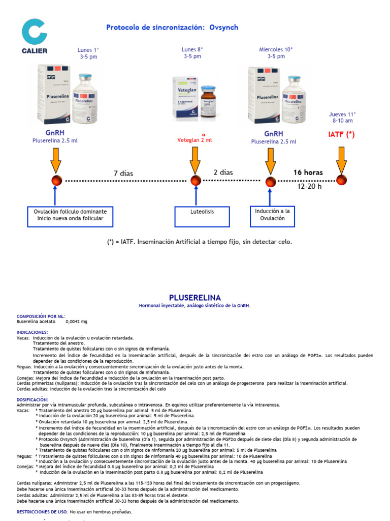 Protocolo de Sincronizacion. Ovsynch | PDF | Vacas | Reproducción humana