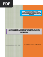 Gestion Des Risques Et Catastrophes | PDF | Inondation | Risque