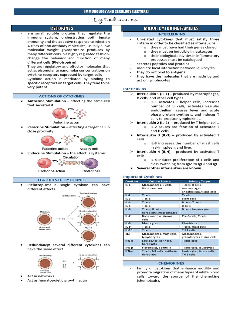 Overview of Interleukins in Immunology | PDF | Cytokine | Interleukin