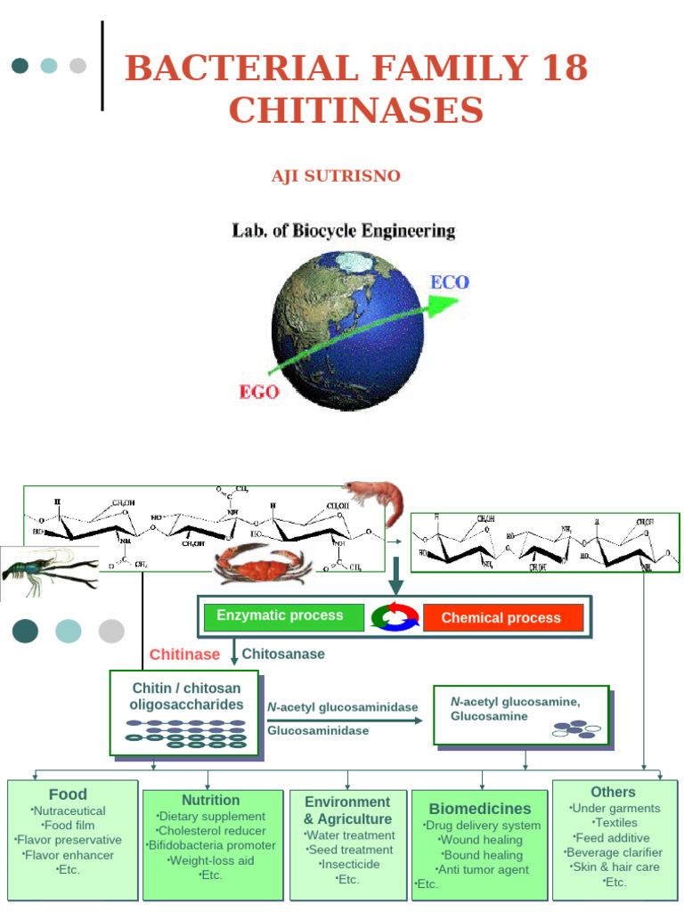 10.CHITINASE (Autosaved) | PDF | Biomolecules | Biotechnology