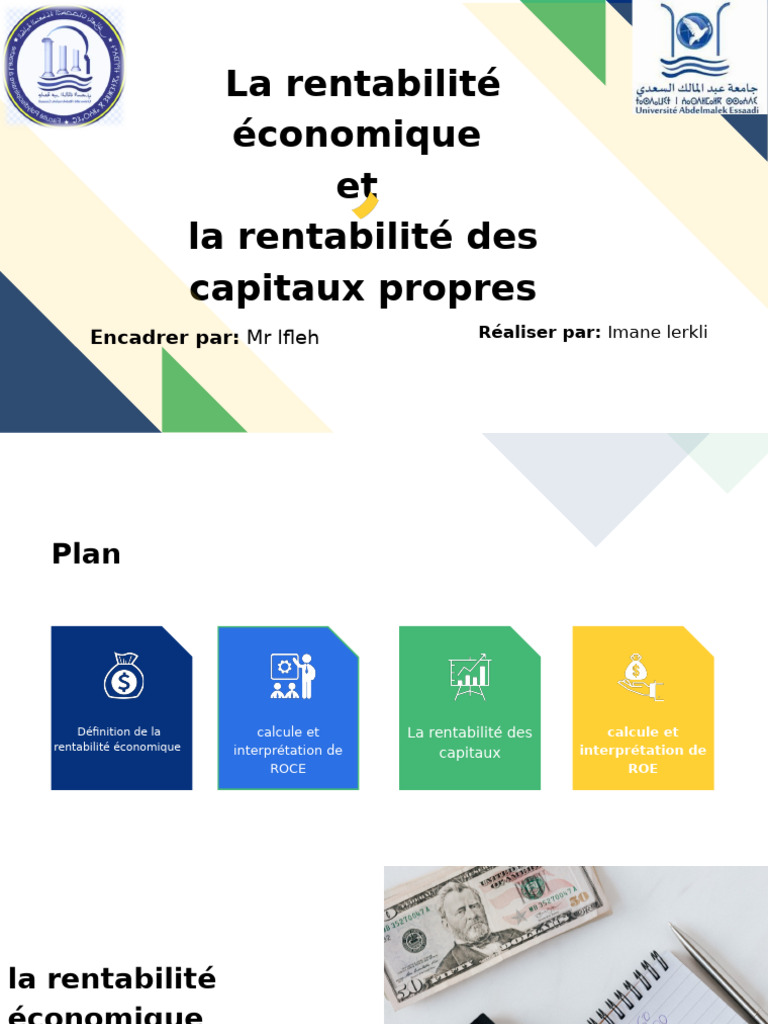 Analyse du ROCE et ROE en finance | PDF | Capitaux propres | Capital ...