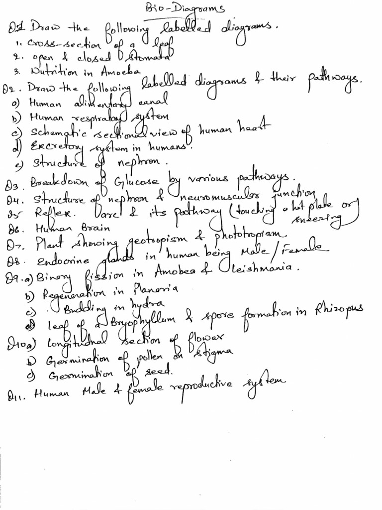 Bio Diagrams 10th Class | PDF