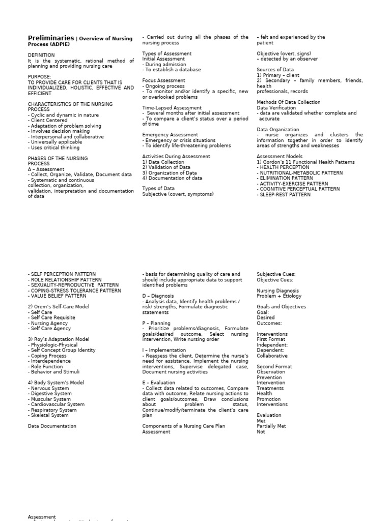 First Year Nursing Process Overview | PDF | Developmental Psychology ...
