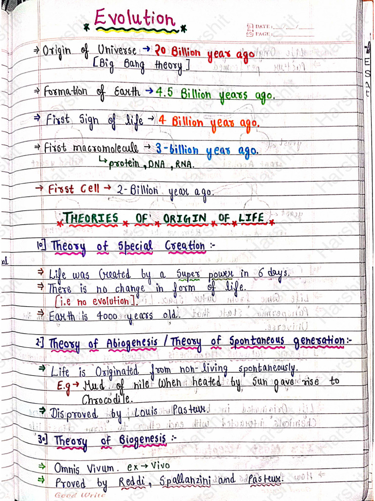 Evolution Class 12 | PDF