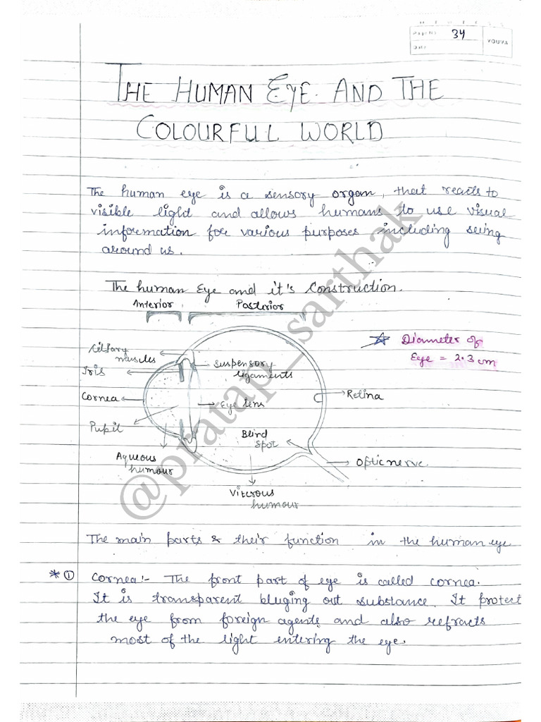 Human Eye and The Colourful World | PDF | Retina | Anatomy