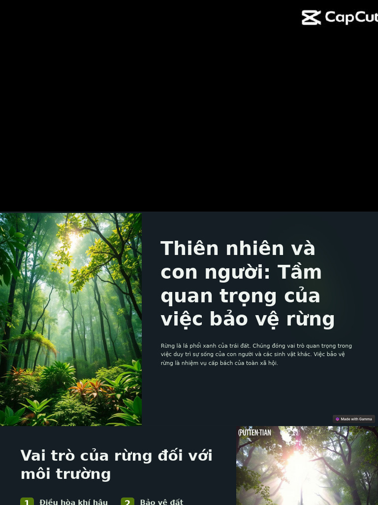 Thien Nhien Va Con Nguoi Tam Quan Trong Cua Viec Bao Ve Rung | PDF