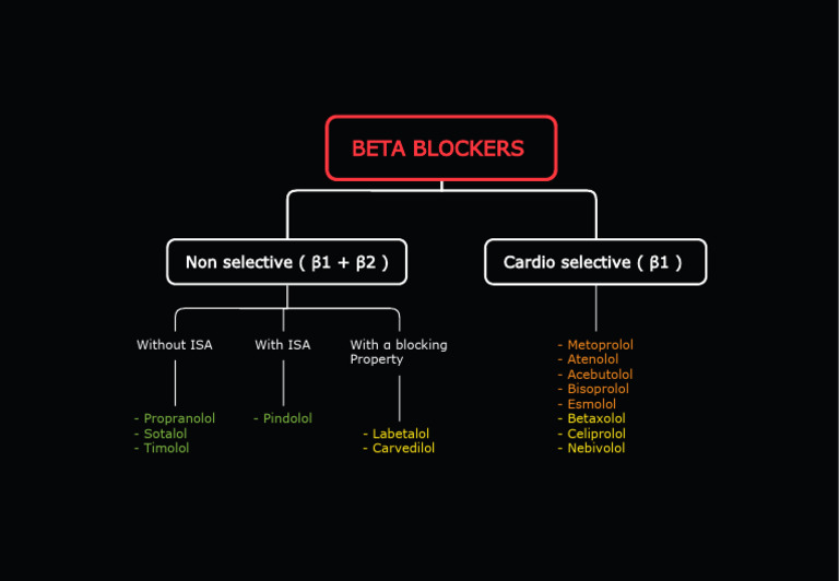 Beta Blockers - 202434 - 232418 | PDF