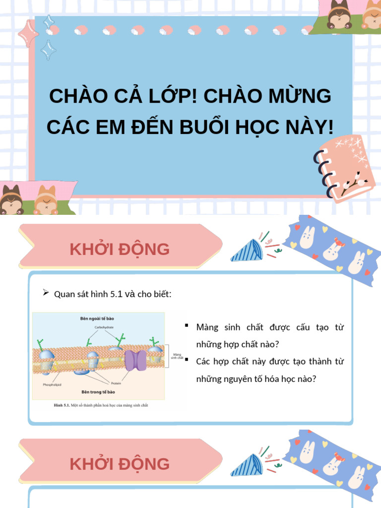 b5 Cac Nguyen To Hoa Hoc Va Nuoc JQK | PDF