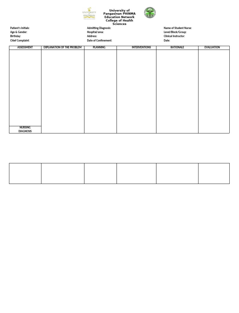 NCP-TEMPLATE-2 | PDF