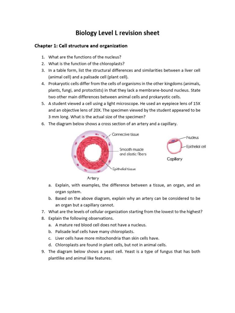 Biology Level L: Cell Structure & Functions | PDF | Cell (Biology) | Enzyme
