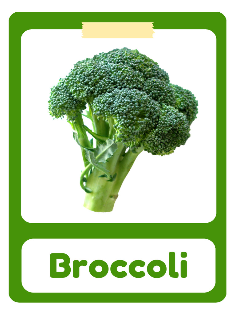 Vegetable Flashcards Photo | PDF