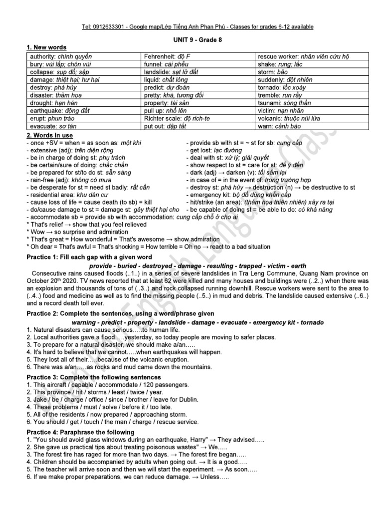 Words in Use Unit 9 G8 MR PHU | PDF