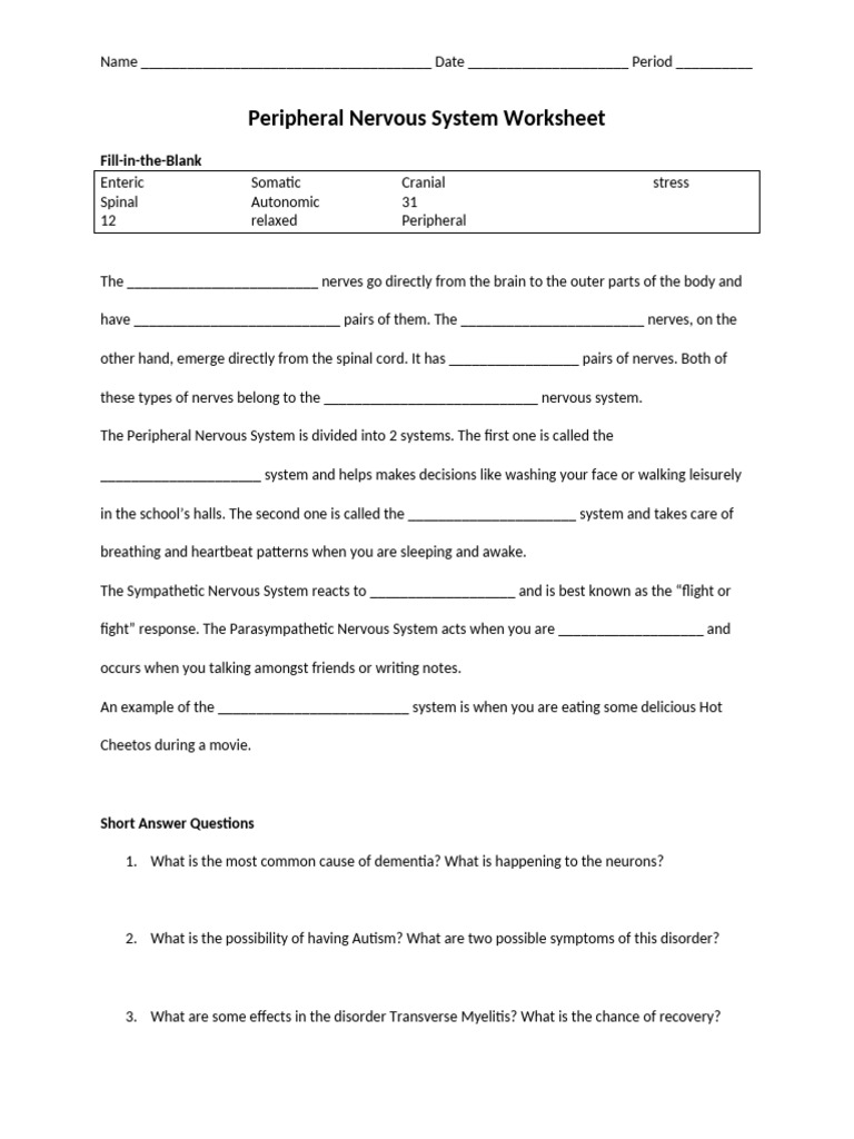 Peripheral Nervous System Worksheet: Fill-in-the-Blank | PDF | Nerve ...