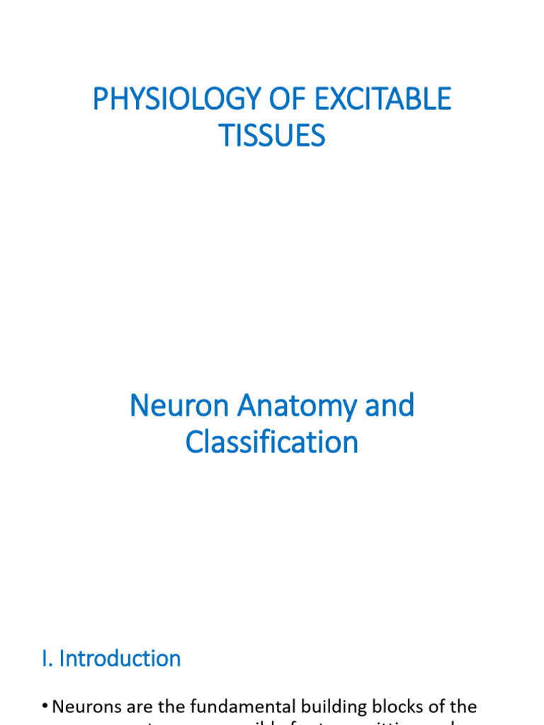 Neuron Anatomy & Physiology Guide | PDF | Action Potential | Neuron