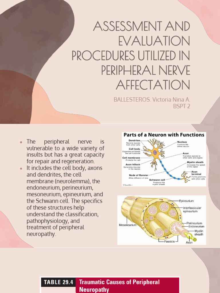 ASSESSMENT AND EVALUATION PROCEDURES UTILIZED IN PERIPHERAL NERVE AFFECTATION | PDF | Peripheral ...