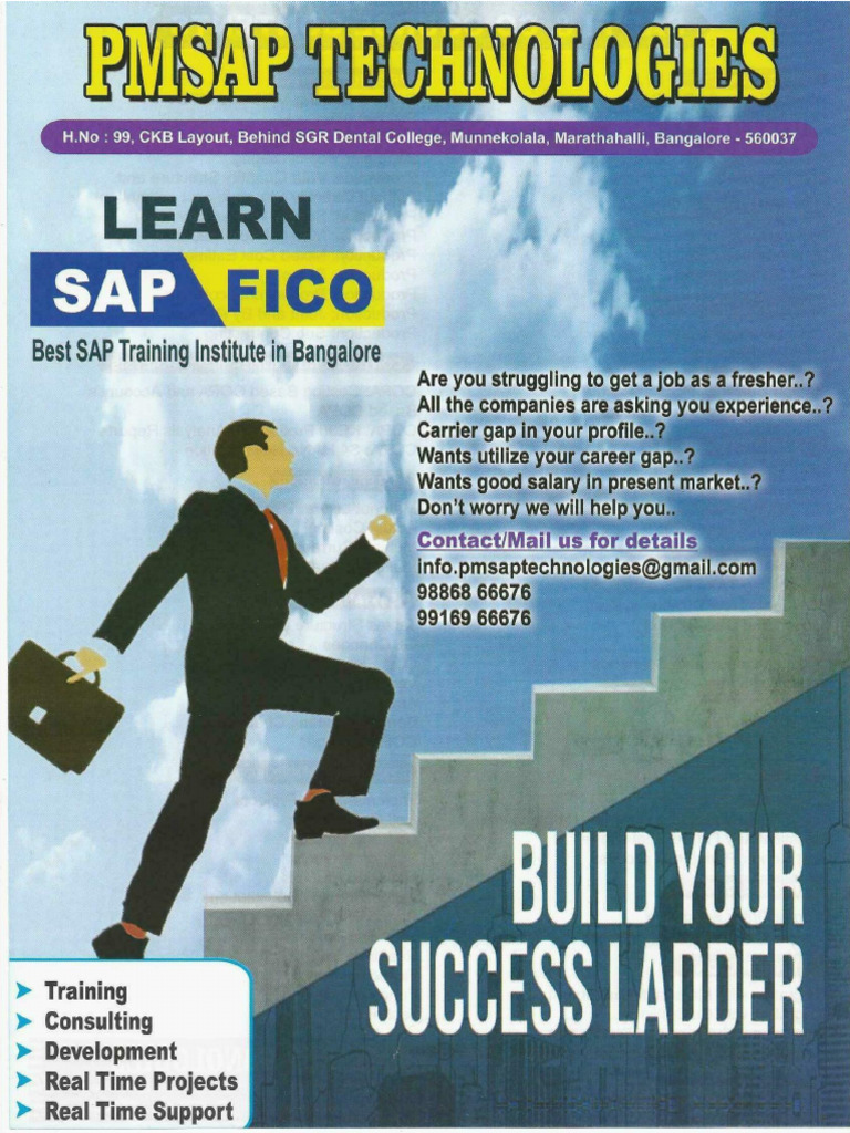 Pmsap S4hana Fico Basics | PDF